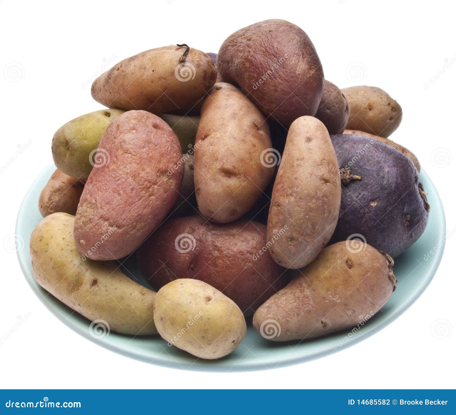 Fingerling Artisan Potatoes Stock Photo - Image of tubers, potato: 14685582
