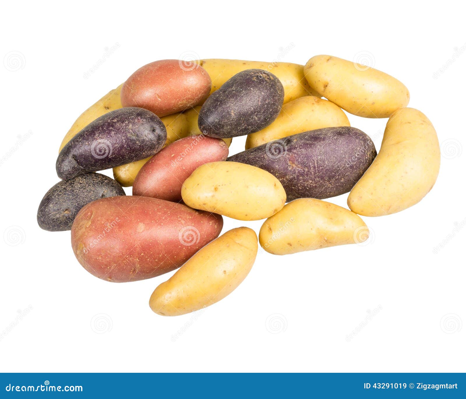 Fingerling Potatoes of Several Colors Isolated Stock Image - Image of ...