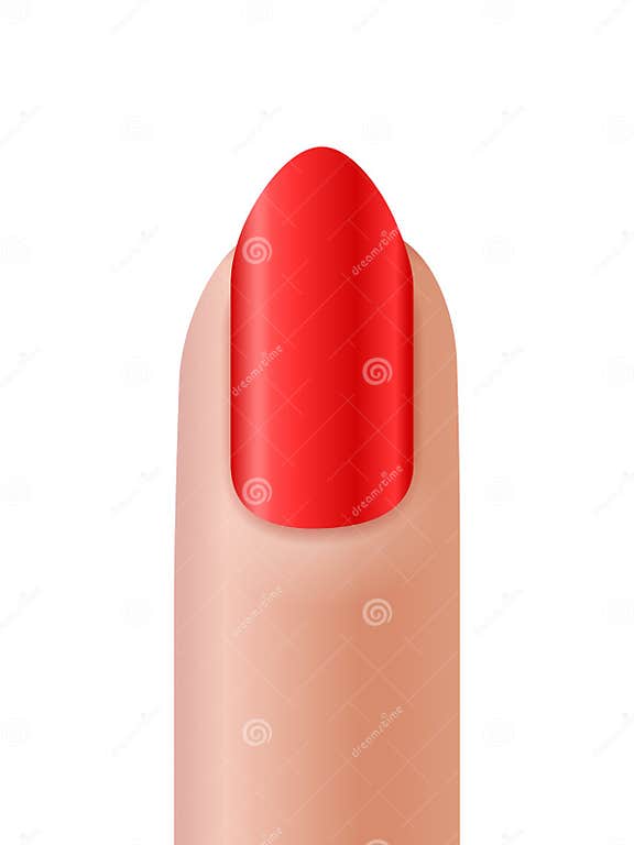 Fingernail manicure stock vector. Illustration of design - 296005564