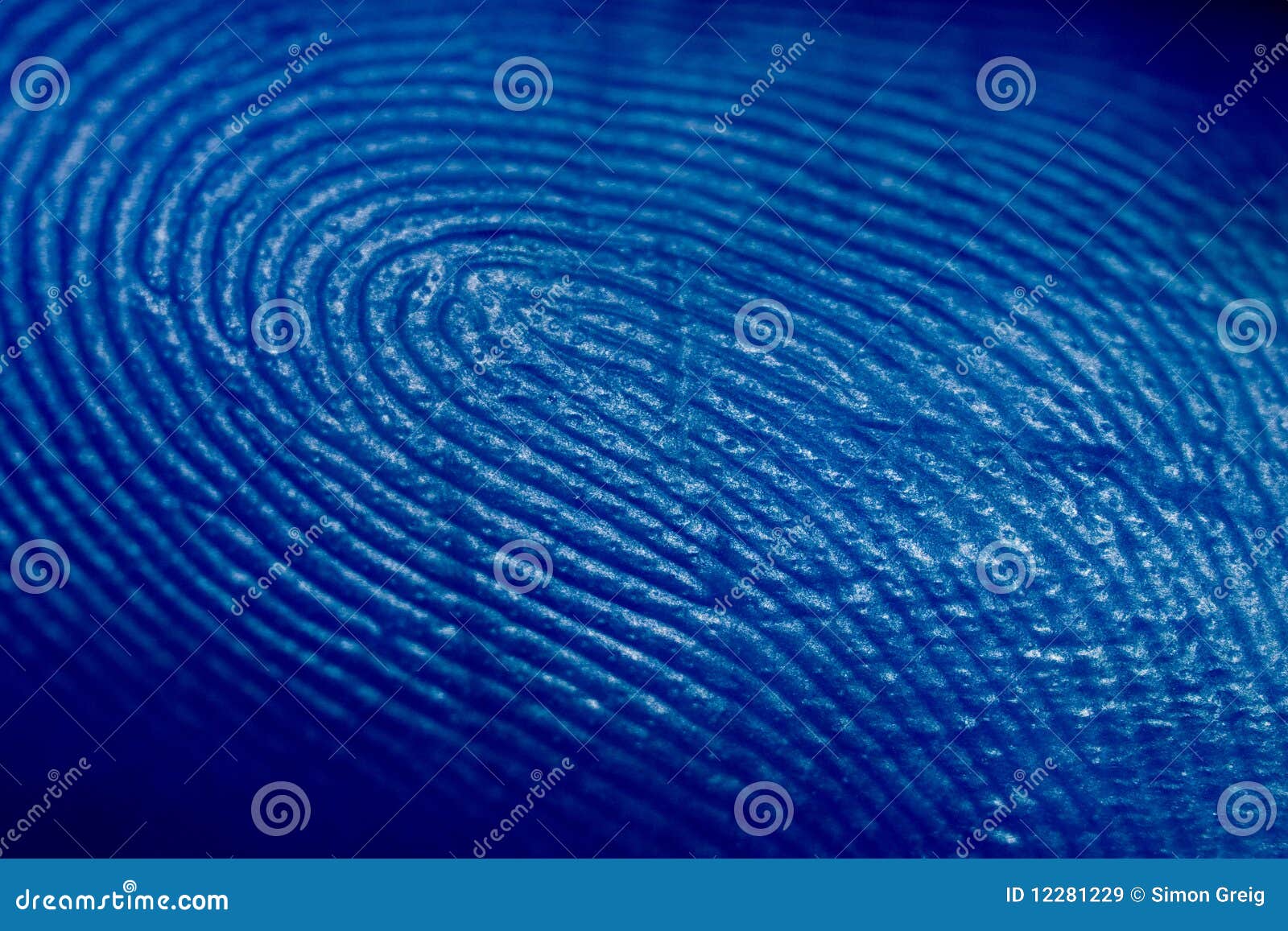 Fingerprint stock image. Image of biometric, print, blue - 12281229