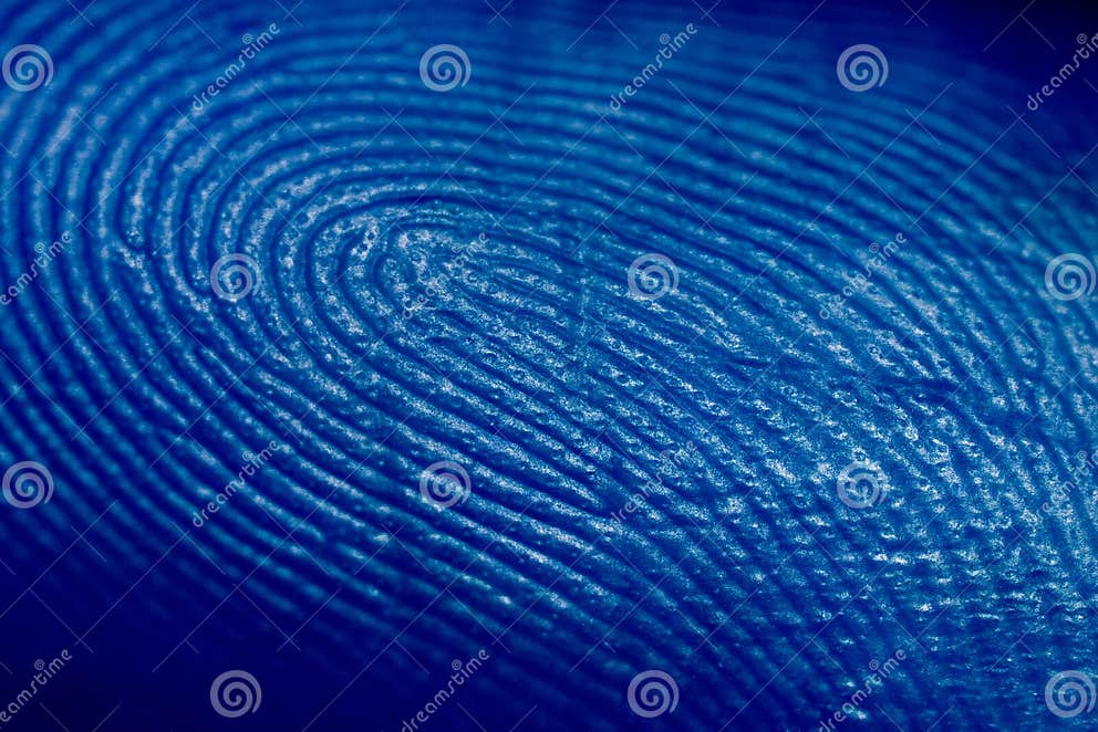 Fingerprint stock image. Image of biometric, print, blue - 12281229