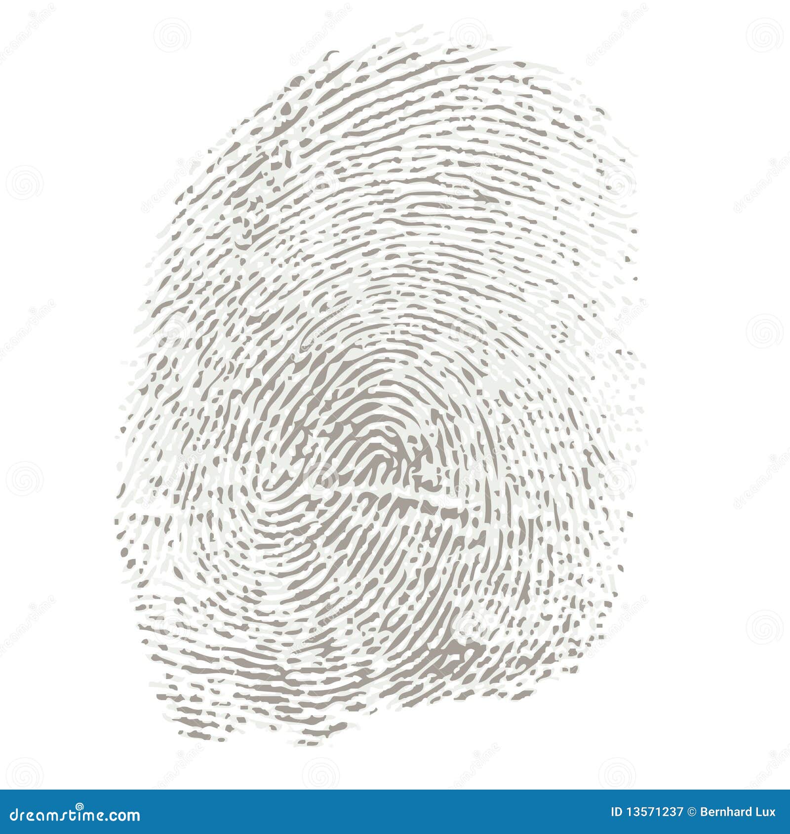 Fingerprint stock vector. Illustration of hand, individuality - 13571237