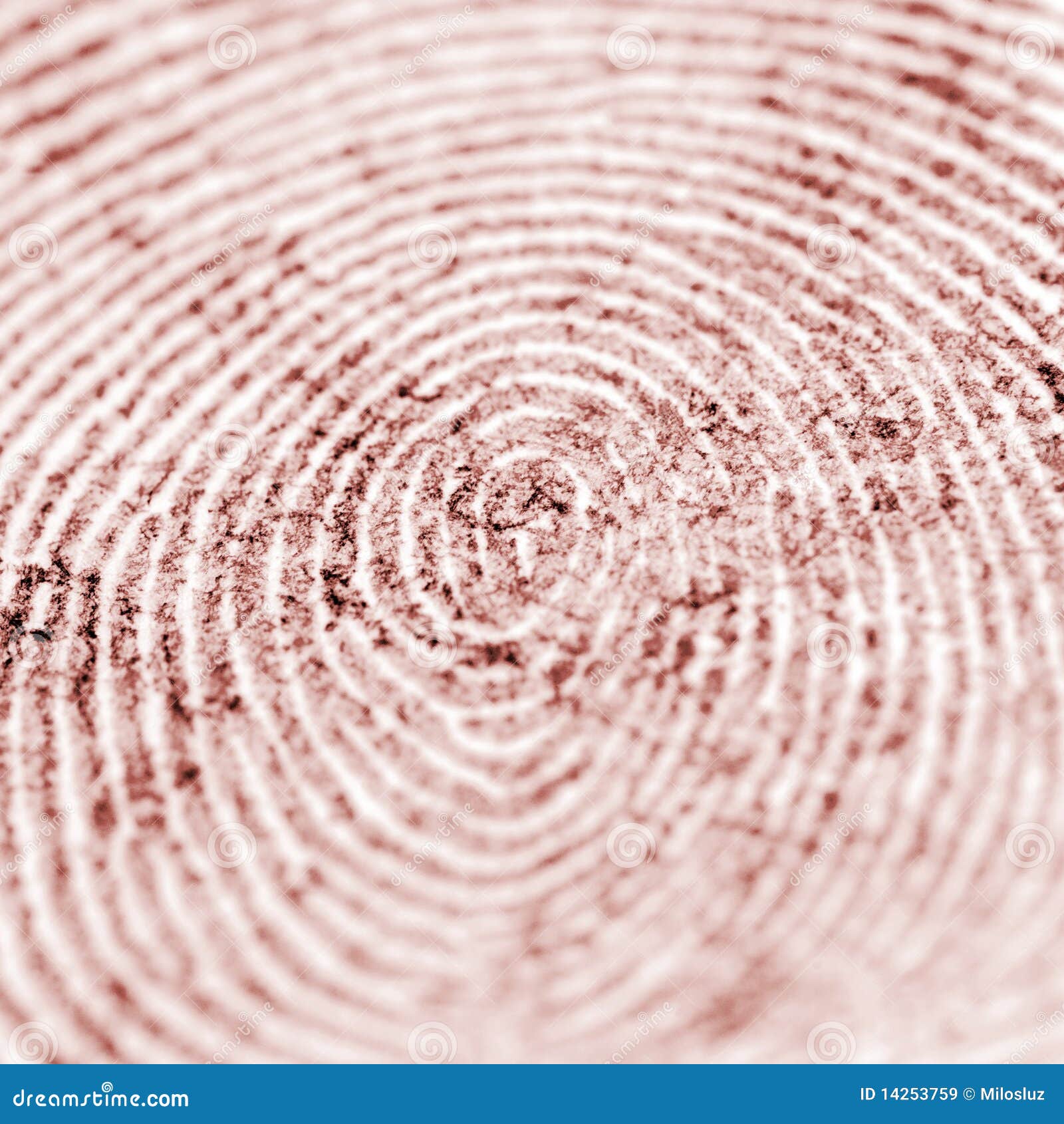 Fingerprint stock image. Image of pattern, unique, identification ...