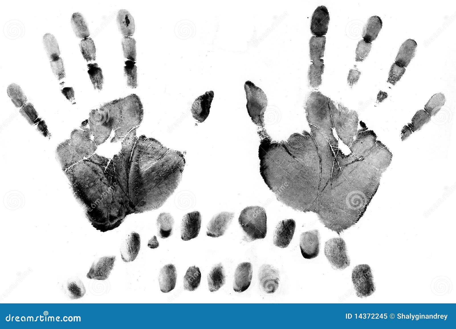 Fingerprint stock image. Image of imprint, fingerprint - 14372245