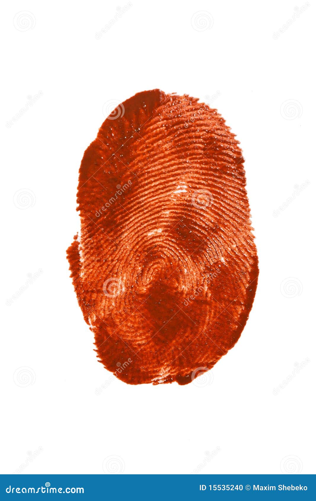 Fingerprint stock photo. Image of personal, brown, isolated - 15535240