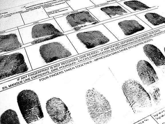 Fingerprint stock image. Image of identity, murder, footprint - 17720735
