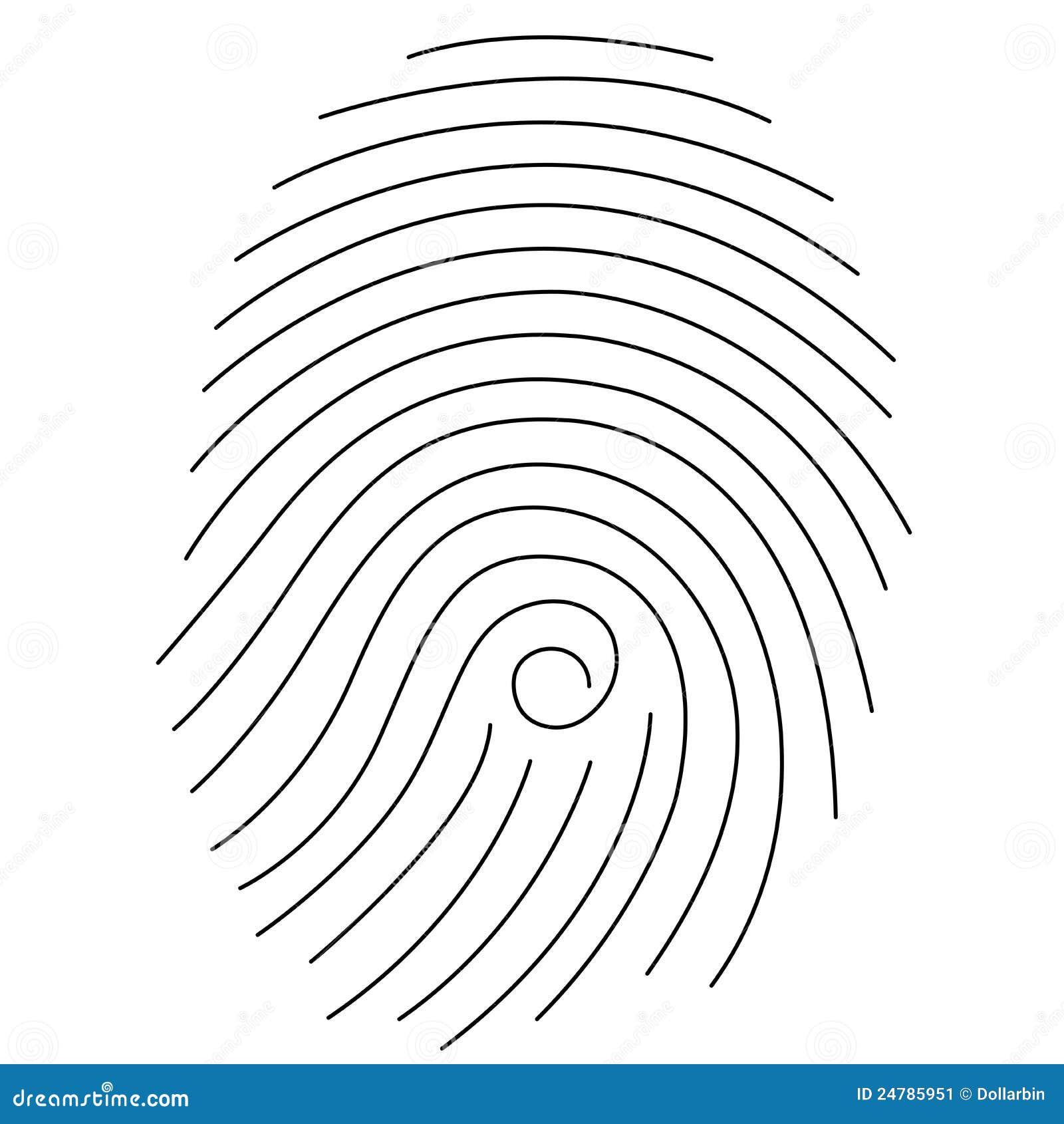 Fingerprint stock vector. Illustration of curves, line - 24785951 Fingerprint stock vector. Illustration of curves, line - 24785951