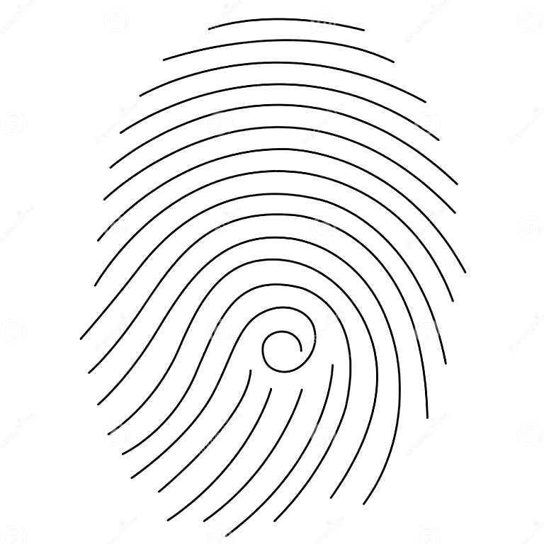 Fingerprint stock vector. Illustration of curves, line - 24785951