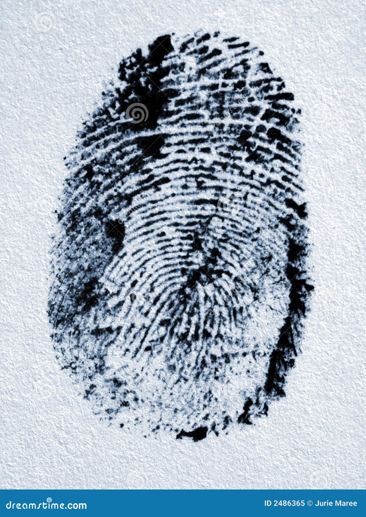 Fingerprint. stock image. Image of legality, paint, print - 2486365