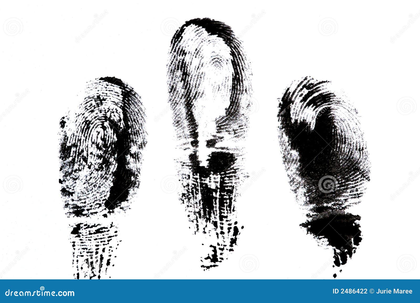 Fingerprint. stock photo. Image of isolated, fingerprint - 2486422
