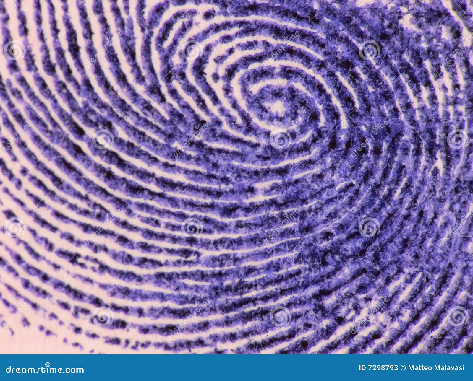 Fingerprint stock image. Image of investigation, fingerprints - 7298793