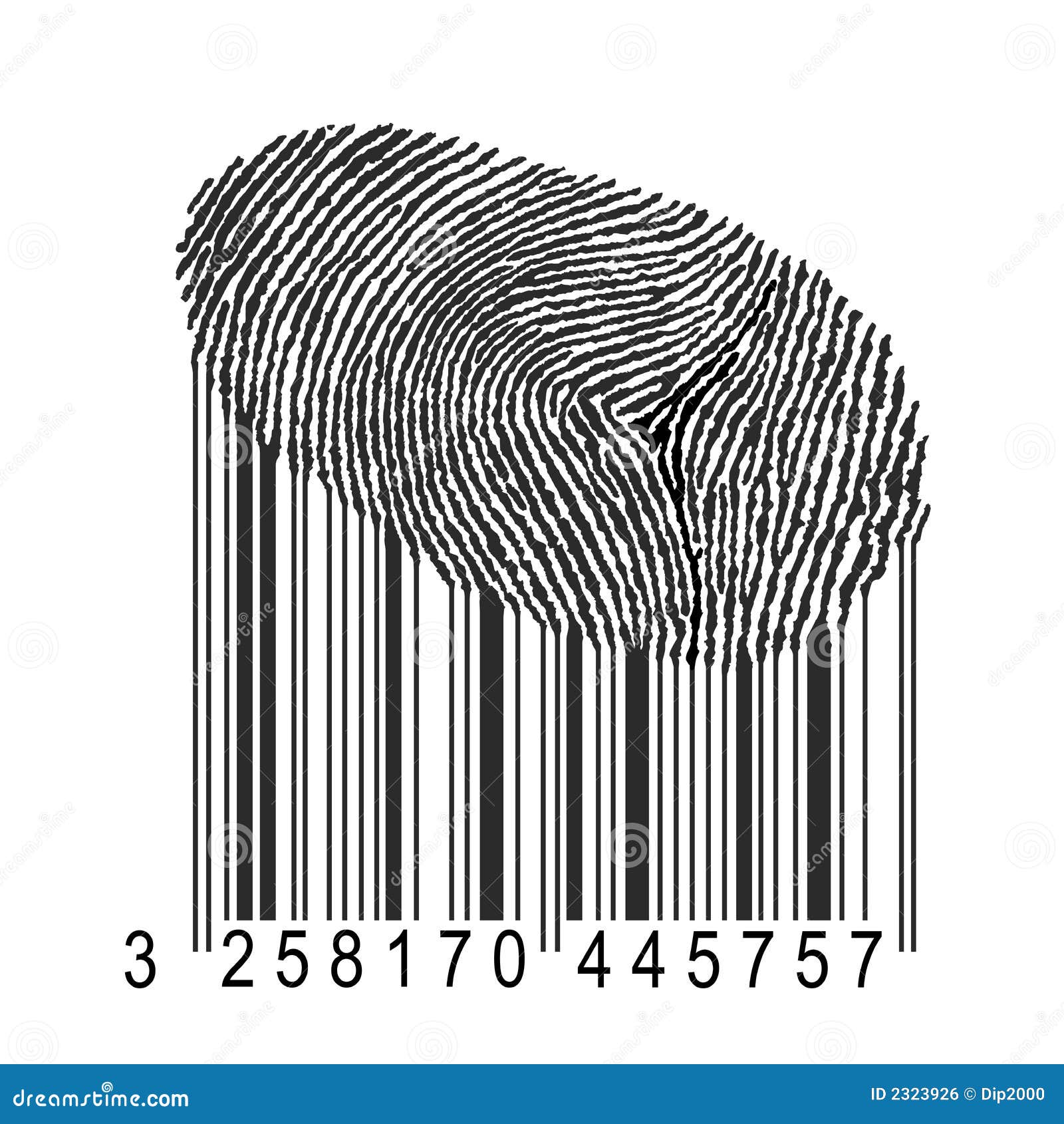 Fingerprint with bar code stock vector. Illustration of concept - 2323926