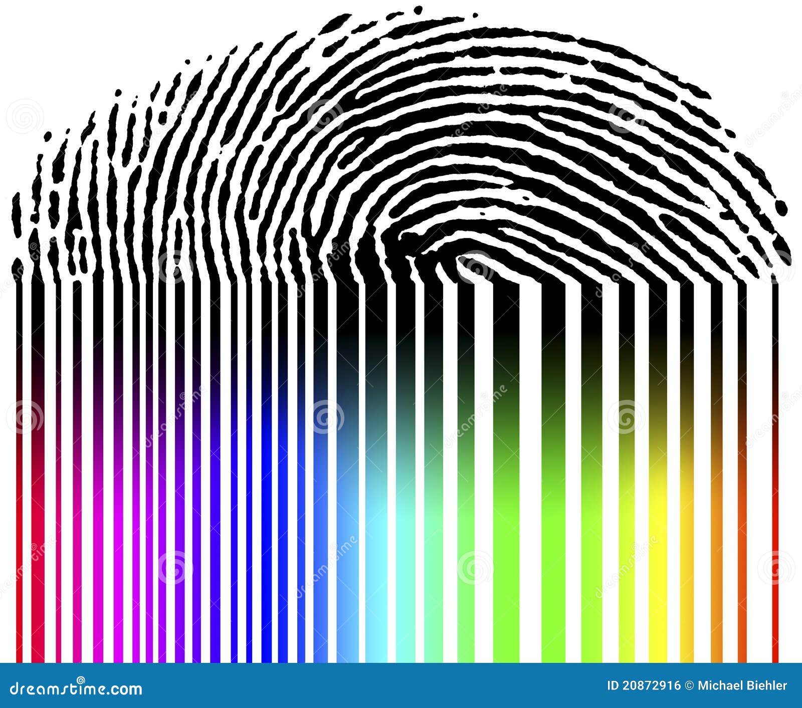 Fingerprint And Barcode Stock Photography | CartoonDealer.com #20872916 Fingerprint And Barcode Stock Photography | CartoonDealer.com #20872916