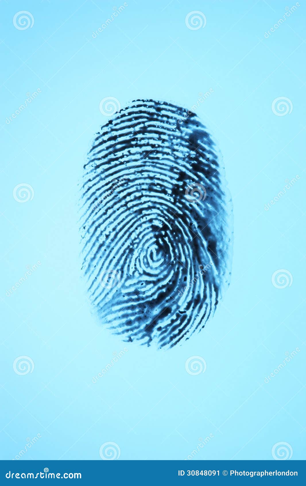 Fingerprint on Blue Background Stock Image - Image of blue, single ...