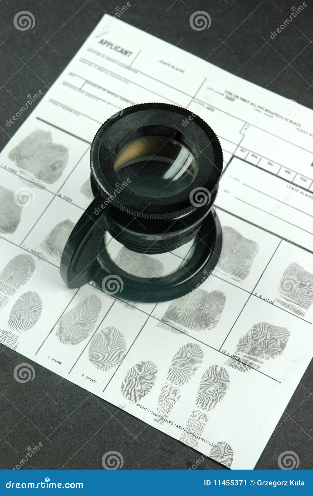 Fingerprint card stock image. Image of science, develop - 11455371