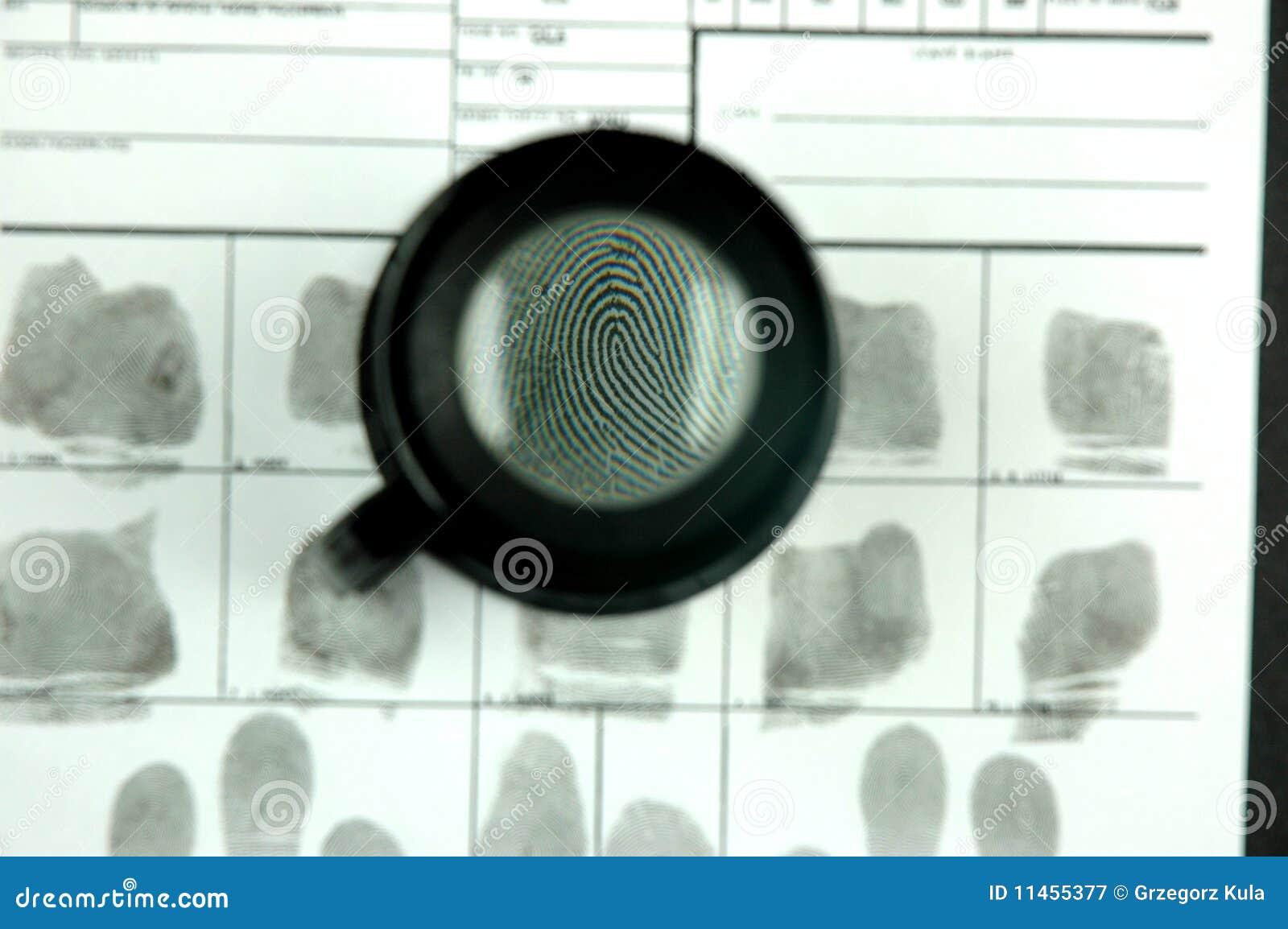 Fingerprint card stock image. Image of develop, preserving - 11455377