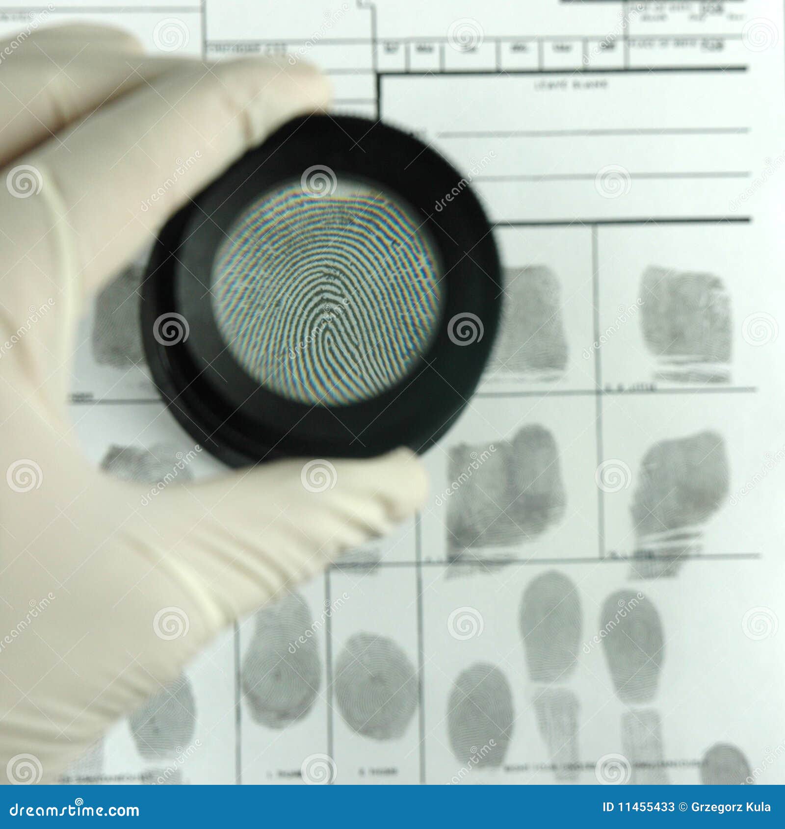 Fingerprint card stock image. Image of dactyloscopic - 11455433