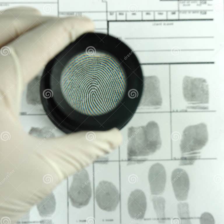 Fingerprint card stock image. Image of dactyloscopic - 11455433