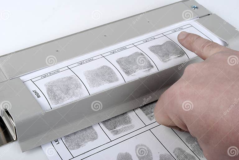 Fingerprint card stock image. Image of identification - 28016817