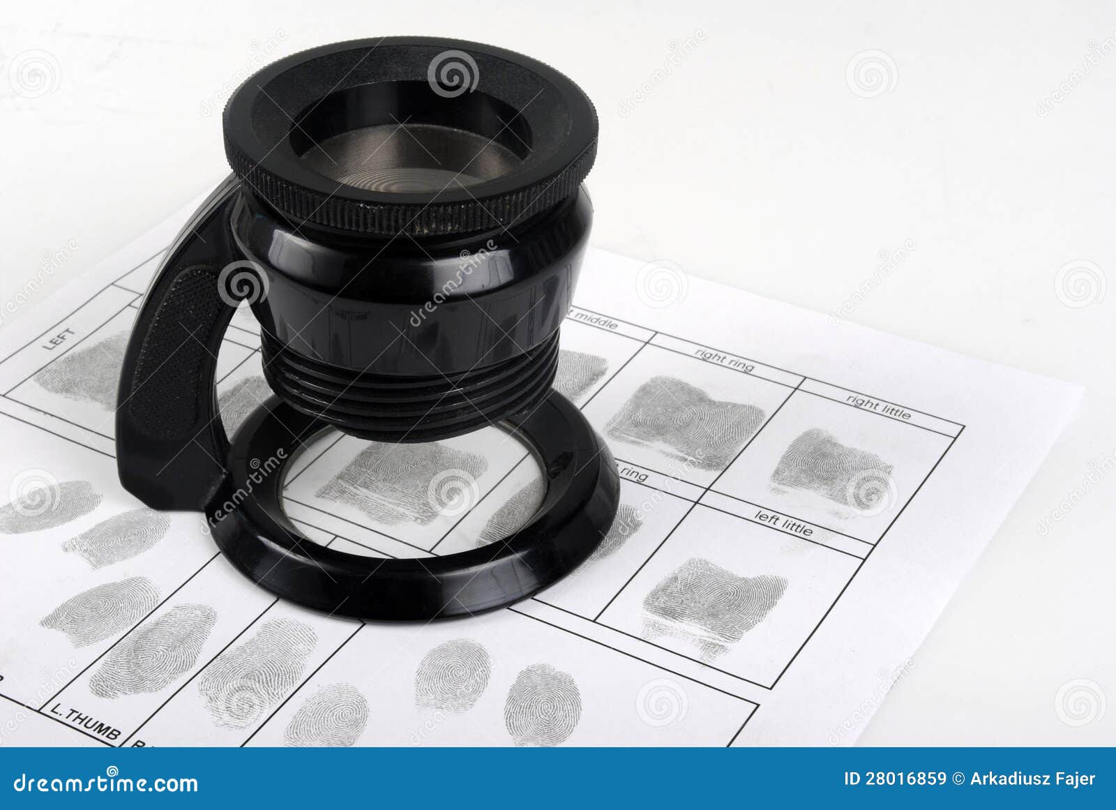 Fingerprint card stock image. Image of palm, event, criminal - 28016859