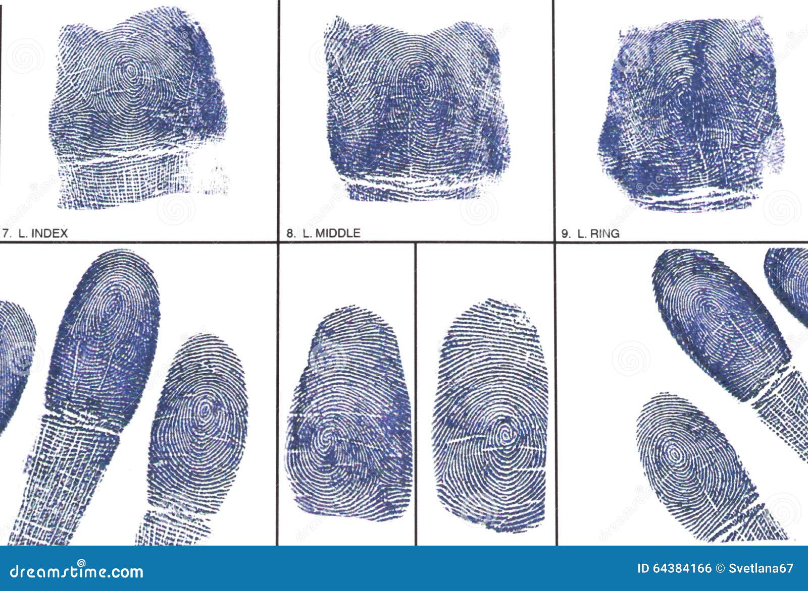 Fingerprint card stock photo. Image of fingerprinting - 64384166