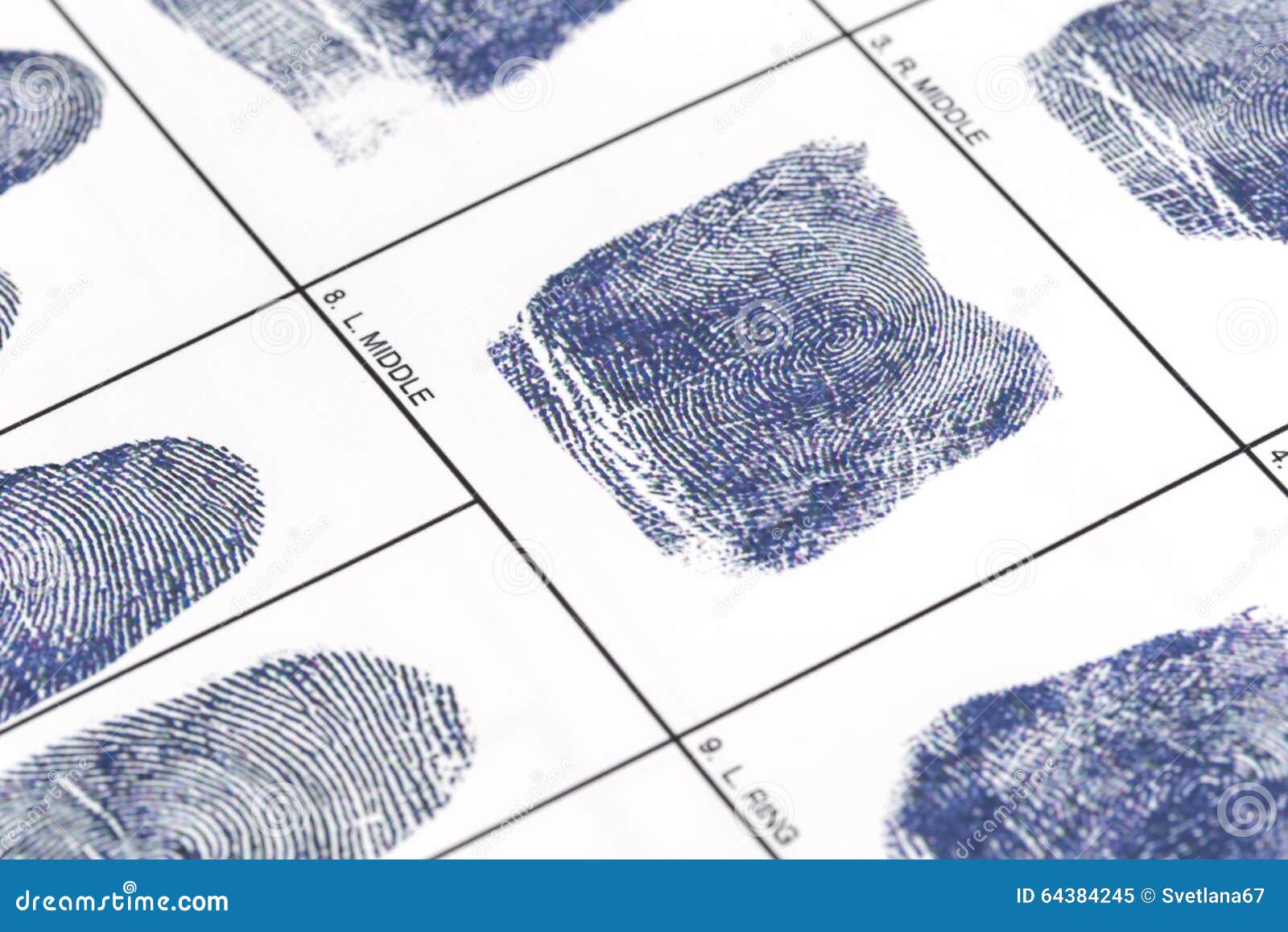Fingerprint card stock image. Image of arrested, safety - 64384245