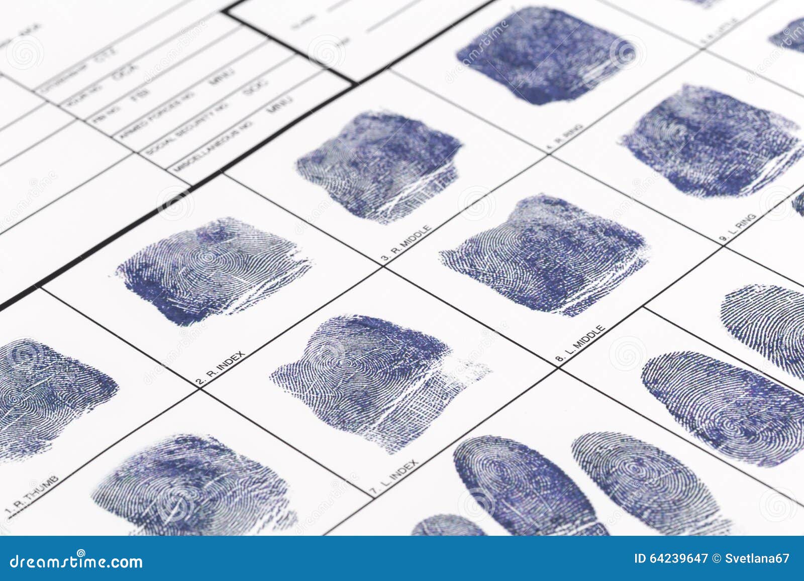 Fingerprint card stock image. Image of identification - 64239647