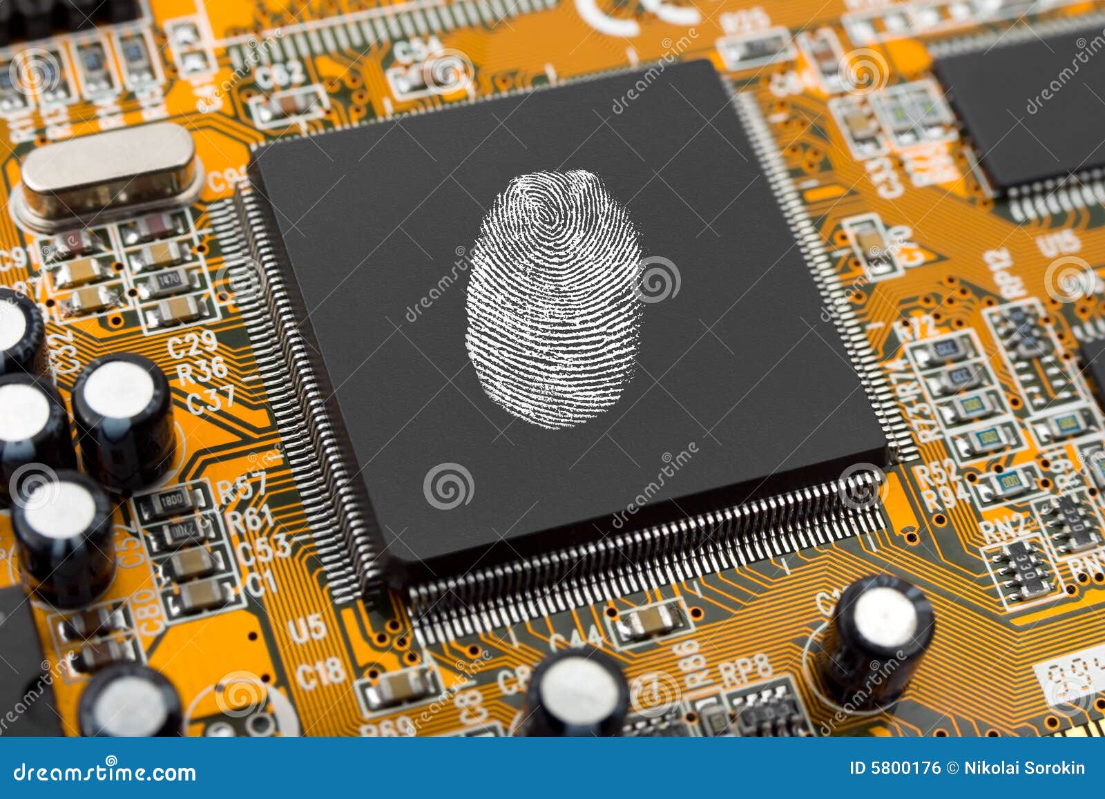 Fingerprint on Computer Chip Stock Photo - Image of permission, circuit ...