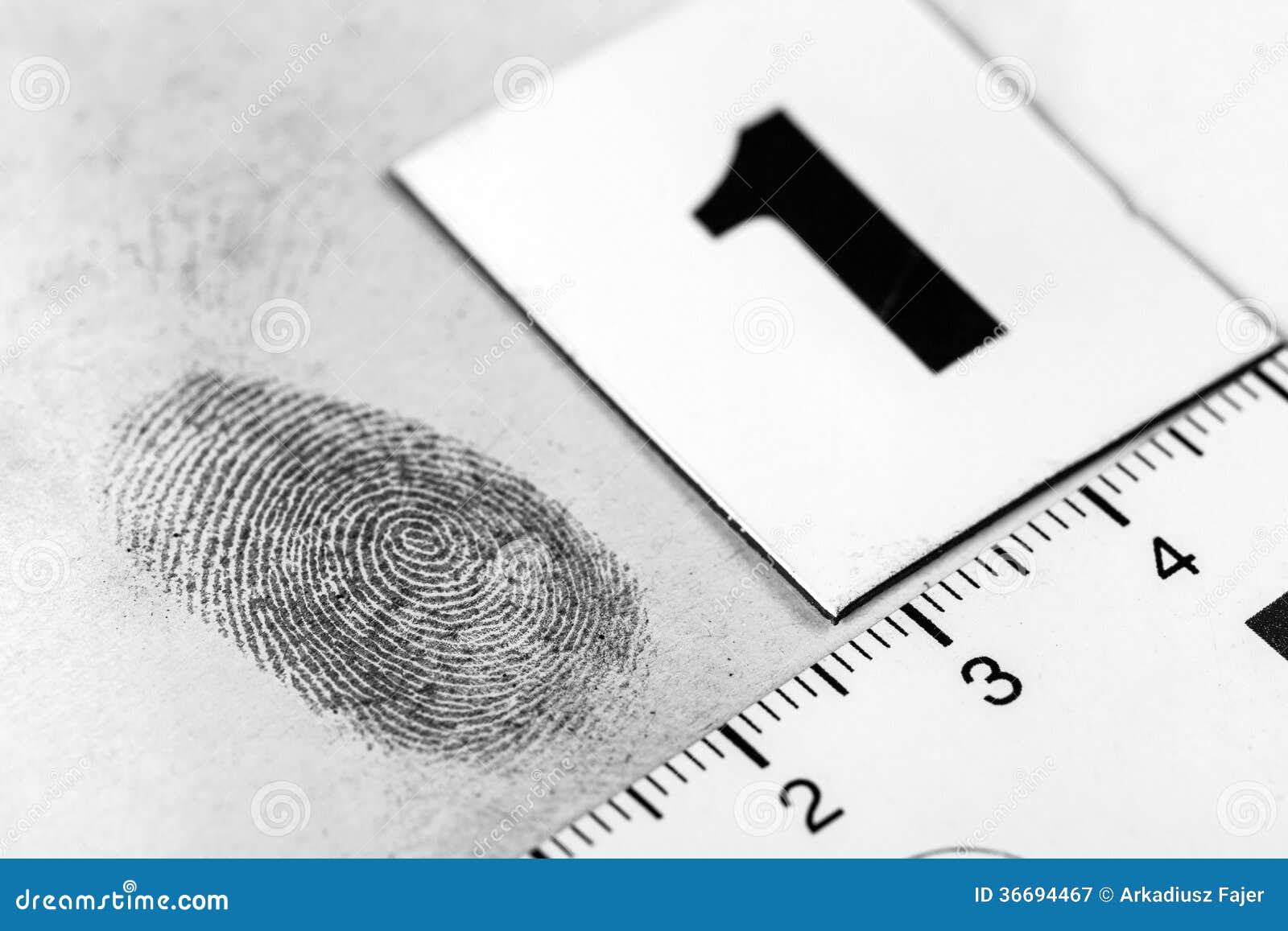 Fingerprint stock image. Image of analyze, forensics - 36694467