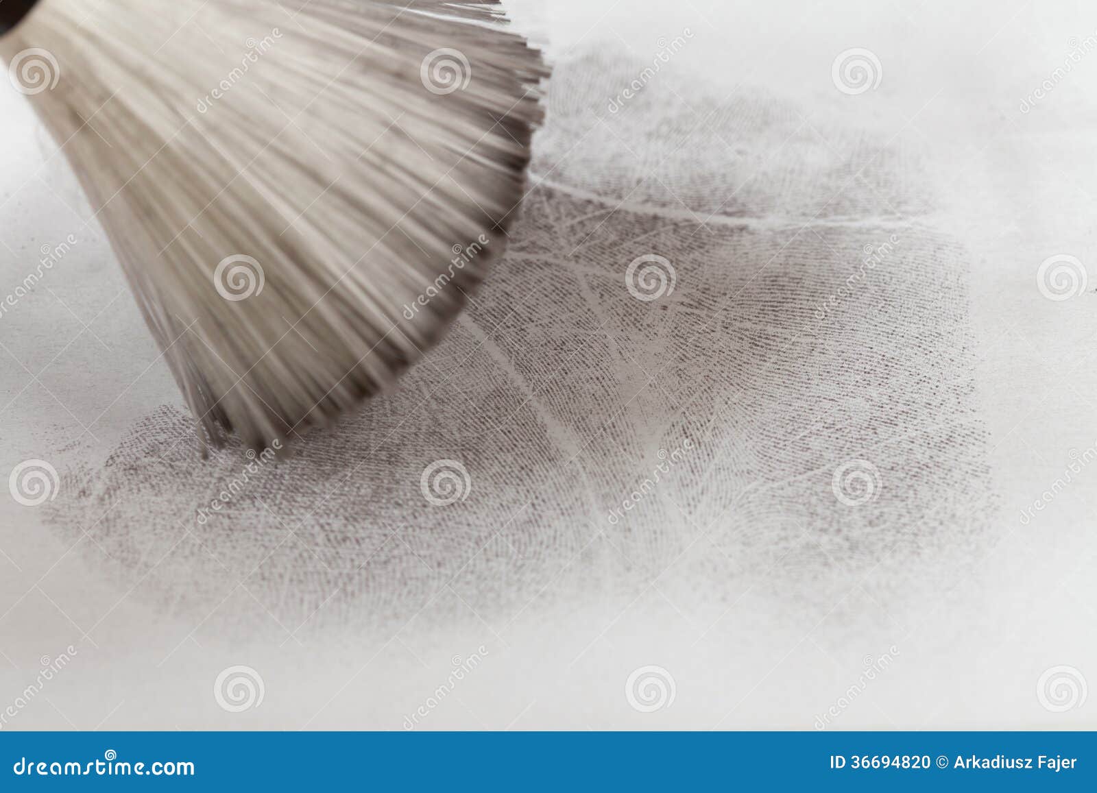 Developing On Latent Fingerprint With Feather Brush On Interior Door ...