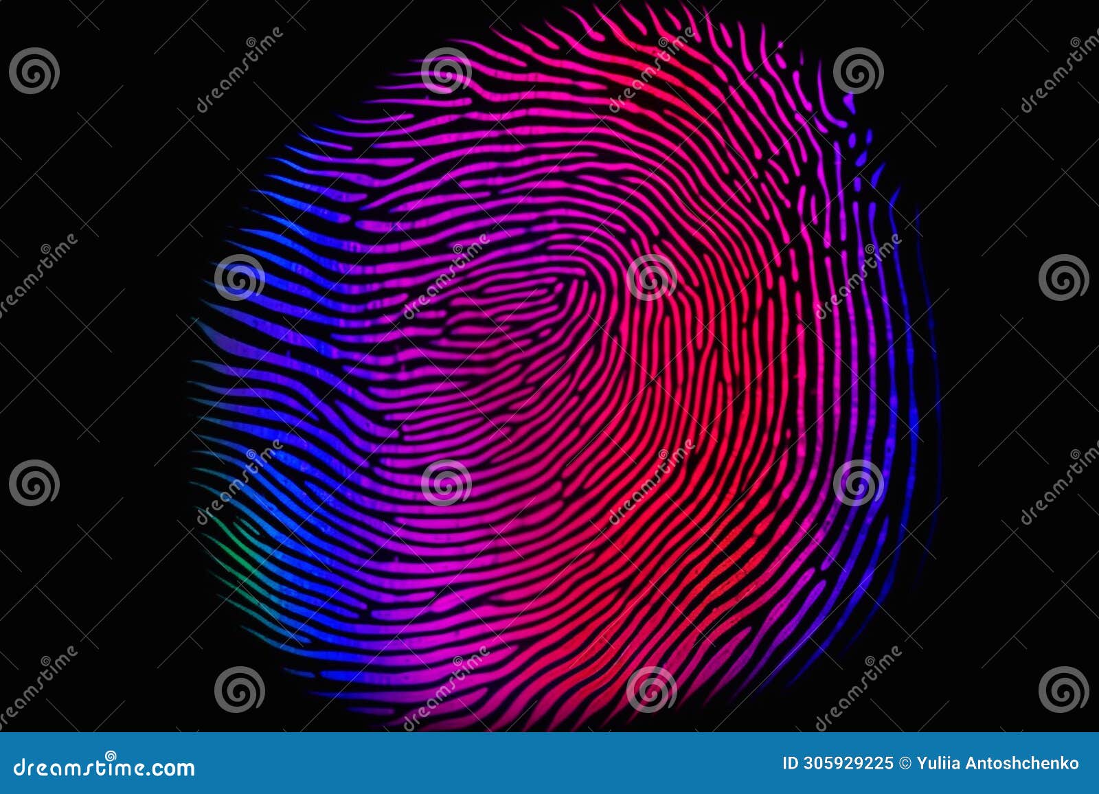 Fingerprint. Identity Verification. Protection of Personal Data Stock ...