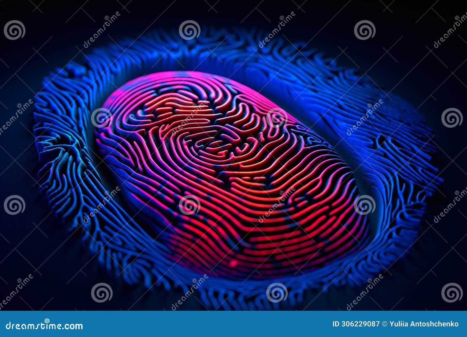 Fingerprint. Identity Verification. Protection of Personal Data Stock ...