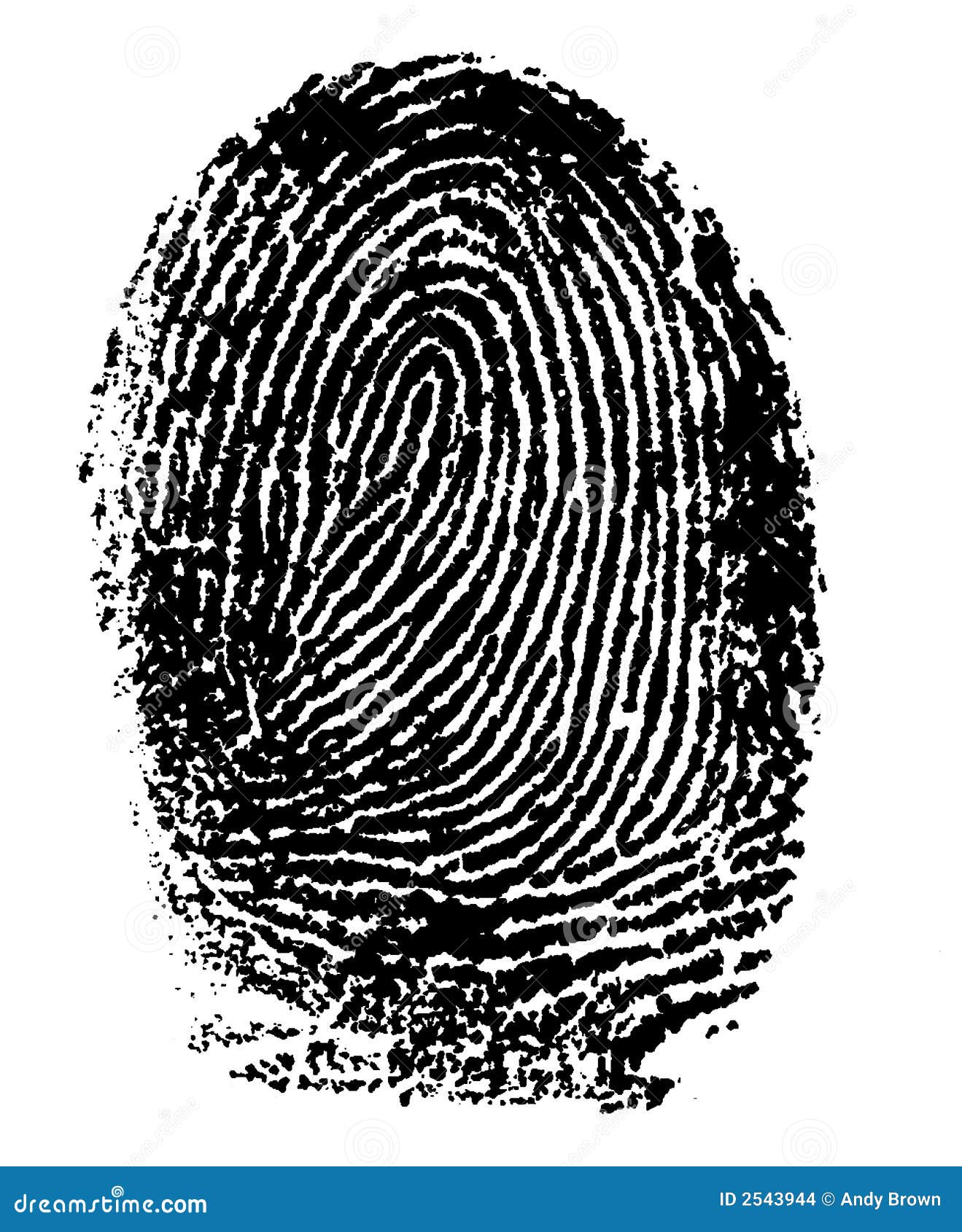 Fingerprint - Index Finger stock illustration. Illustration of lines ...