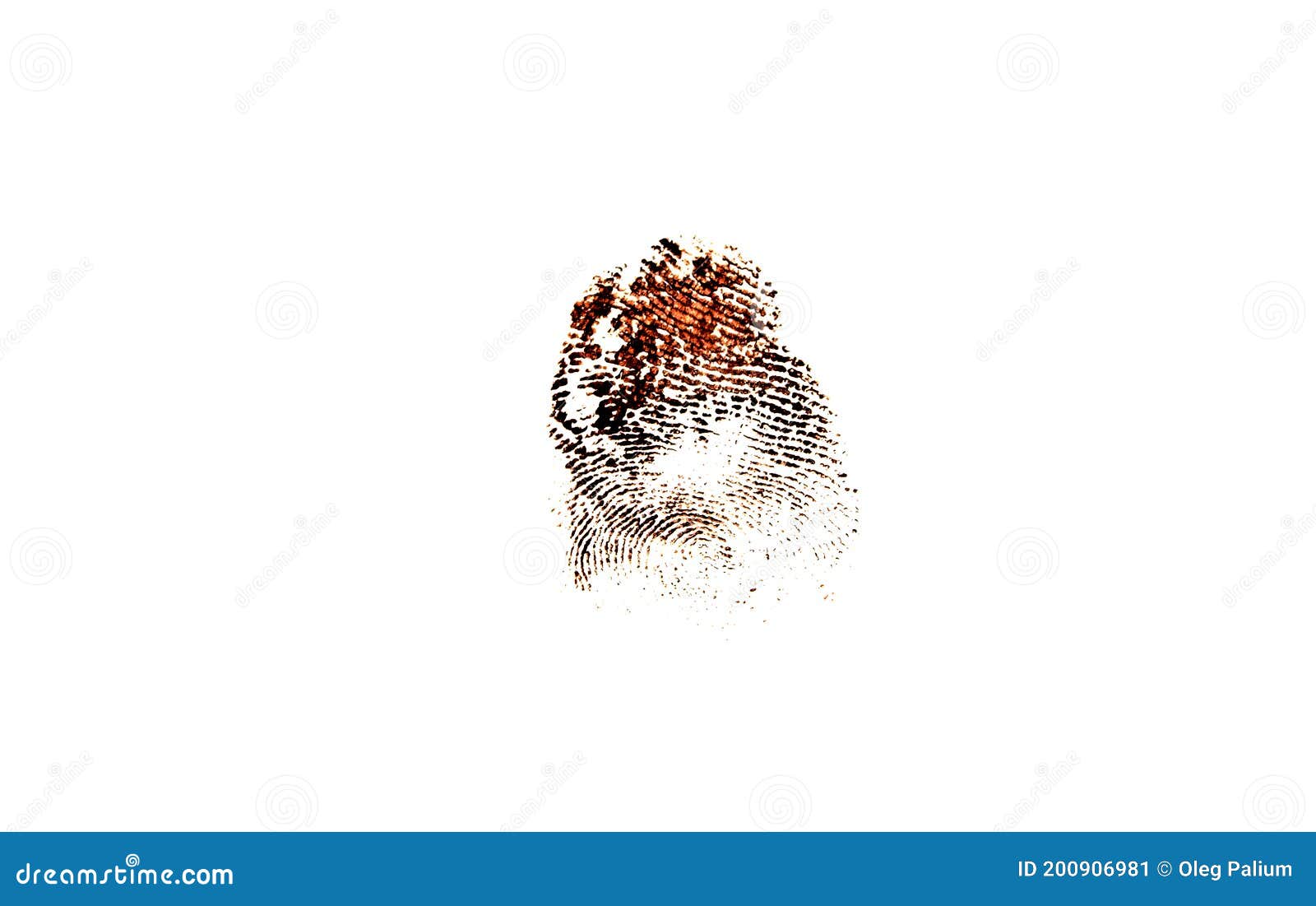 Fingerprint Isolated on White Background Stock Image - Image of hand ...