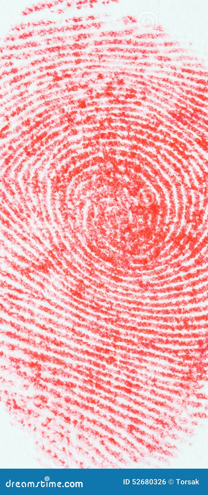 Fingerprint Isolated on White Stock Photo - Image of person ...