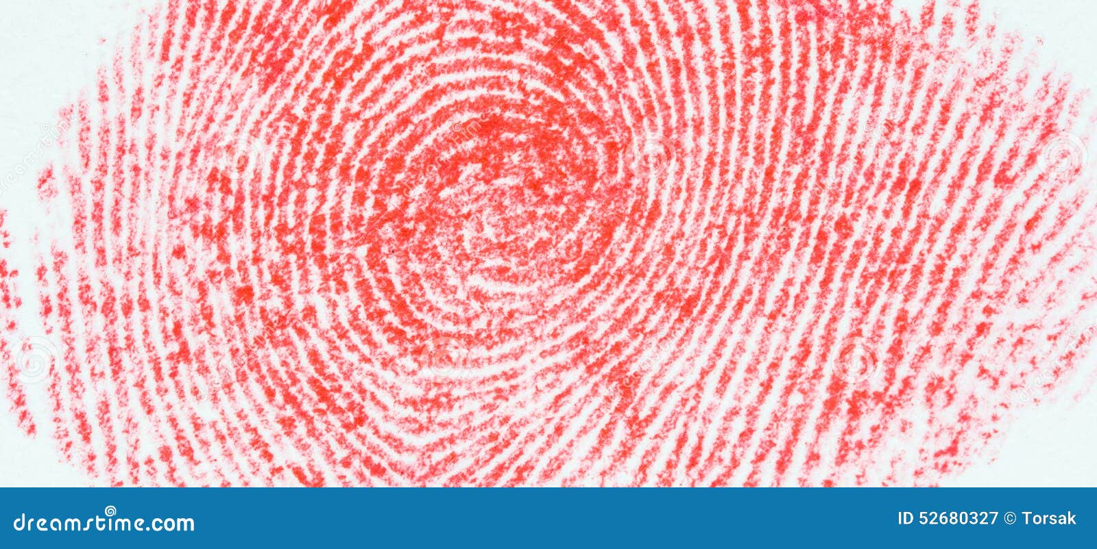 Fingerprint Isolated on White Stock Image - Image of human, personal ...
