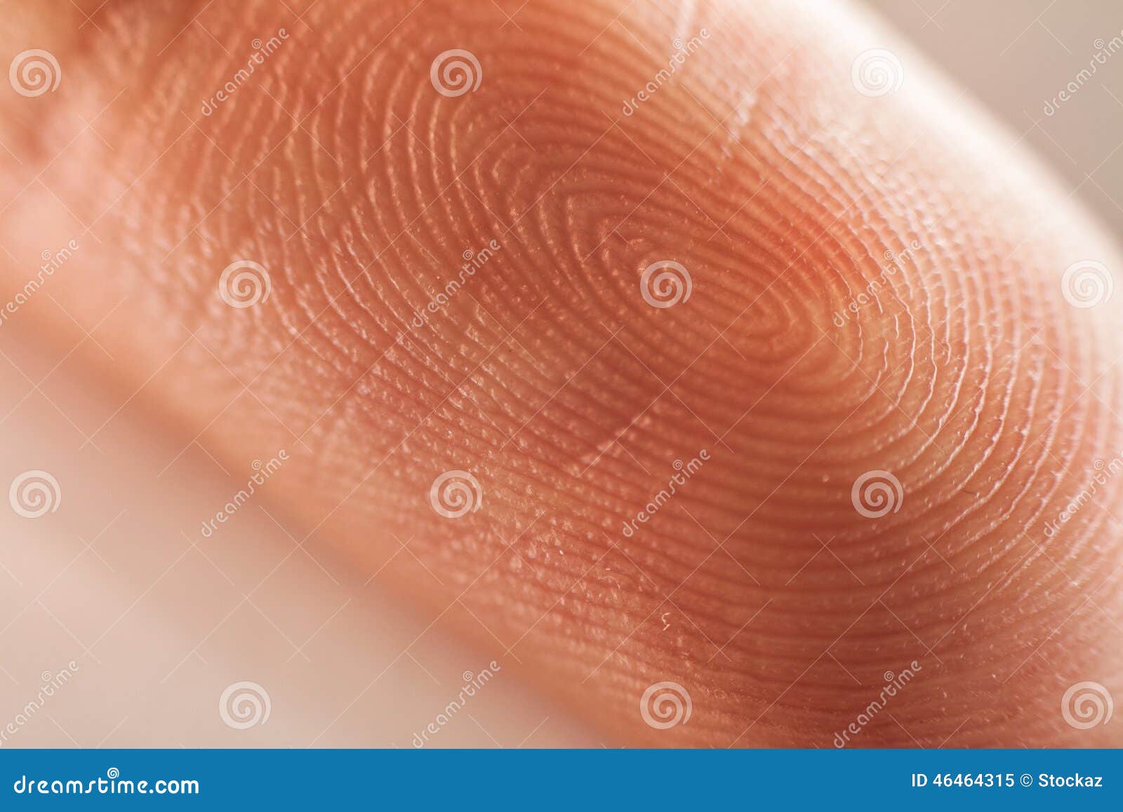 Fingerprint stock image. Image of security, person, isolated - 46464315
