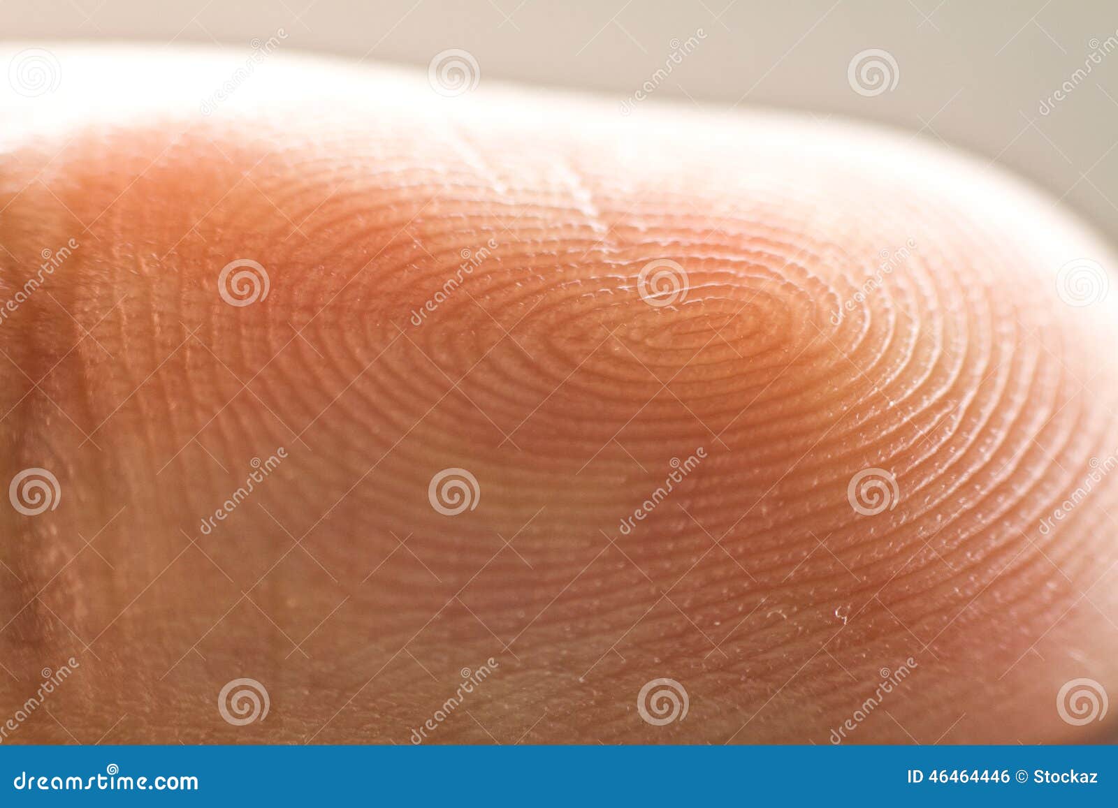 Fingerprint stock photo. Image of identification, password - 46464446