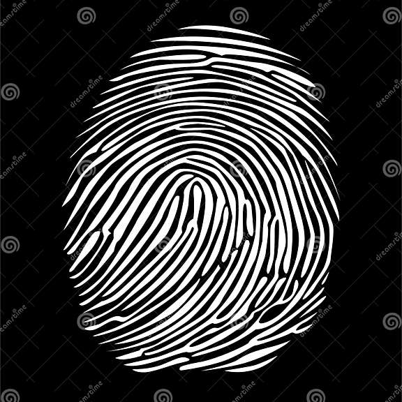 Fingerprint in negative stock illustration. Illustration of detective ...