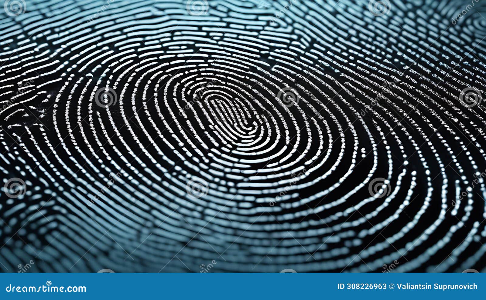 Fingerprint Pattern Close Up. Finger Print Lines, Thumbprint for ...