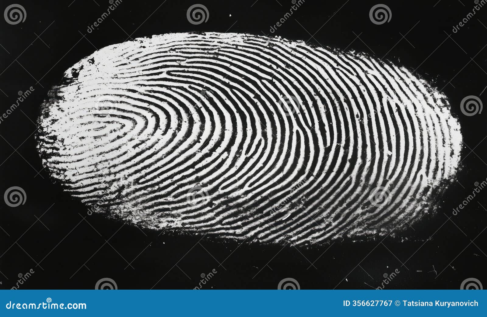 Fingerprint Pattern, Intricate Lines and Curves, Black and White Image ...