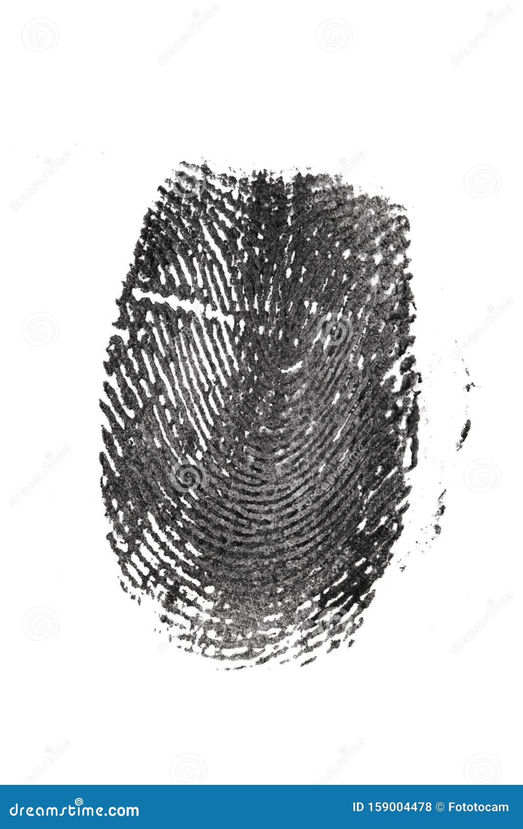 Fingerprint Pattern Isolated on White - Image Stock Photo - Image of ...