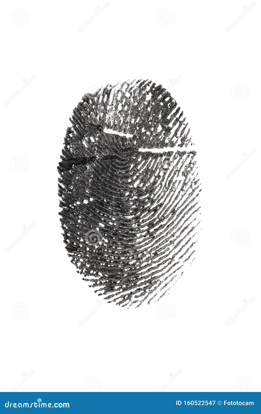 Fingerprint Pattern Isolated on White - Image Stock Image - Image of ...