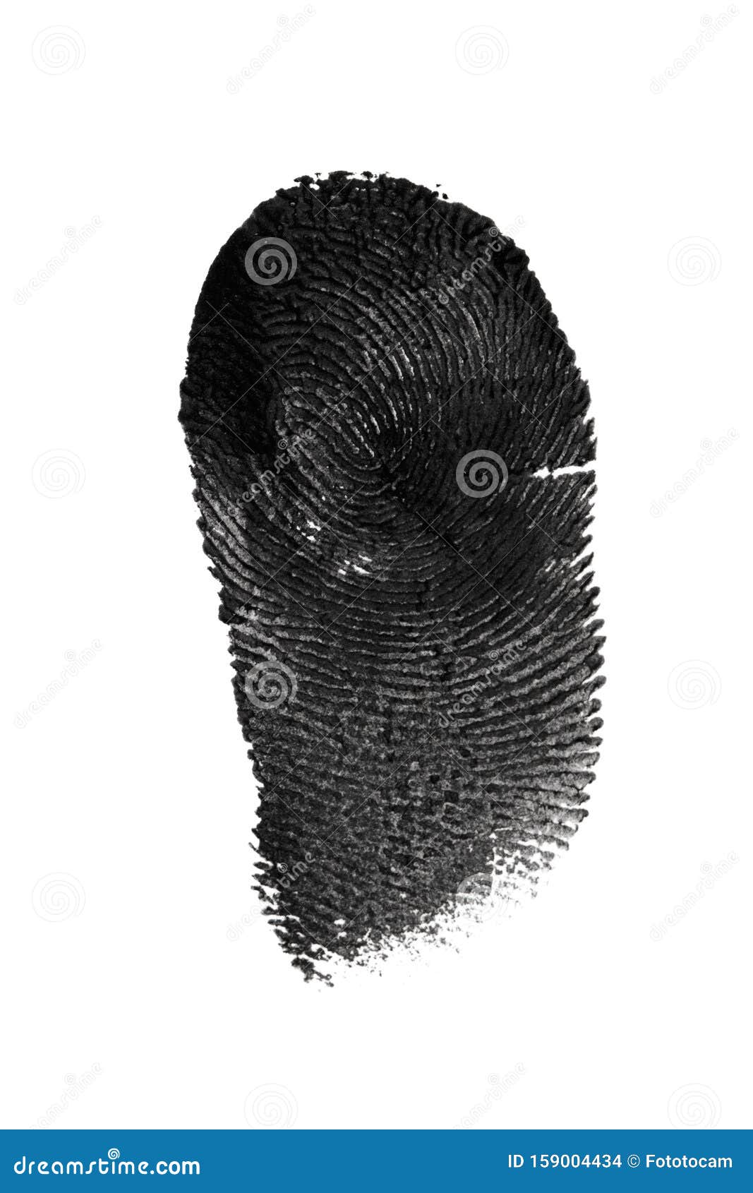 Fingerprint Pattern Isolated on White - Image Stock Photo - Image of ...