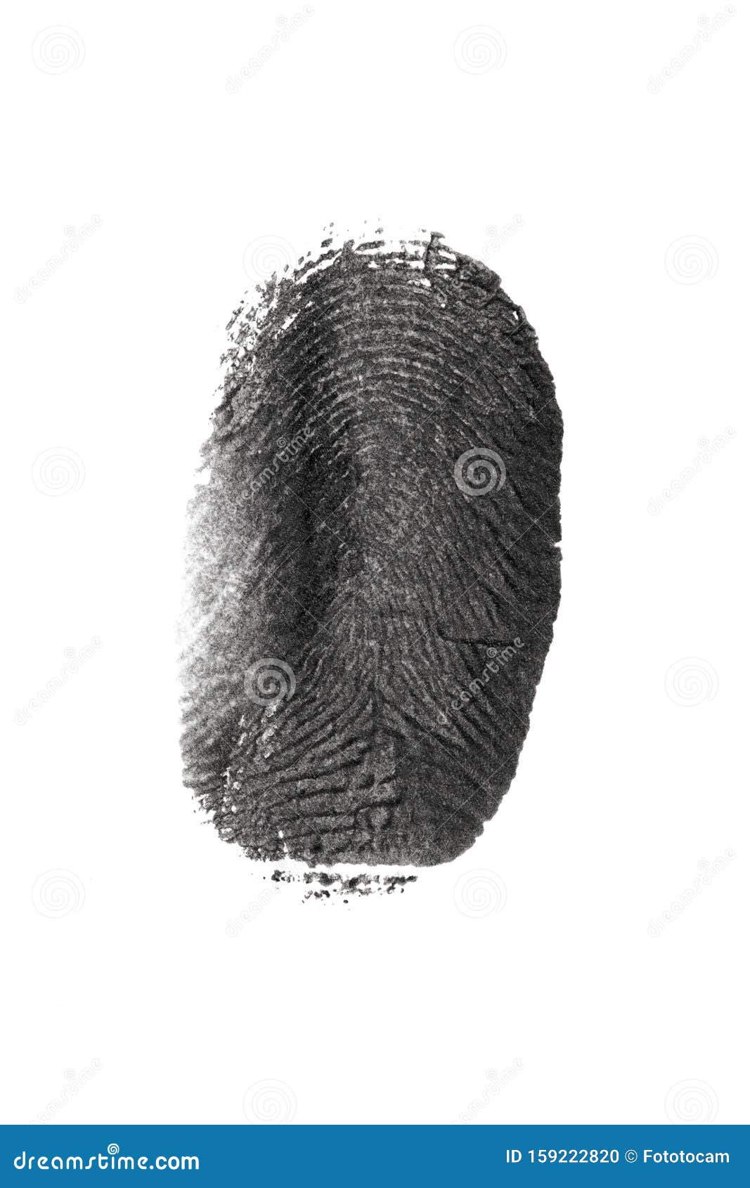 Fingerprint Pattern Isolated on White - Image Stock Photo - Image of ...