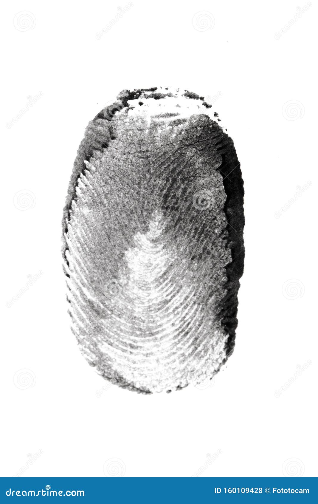 Fingerprint Pattern Isolated on White - Image Stock Illustration ...
