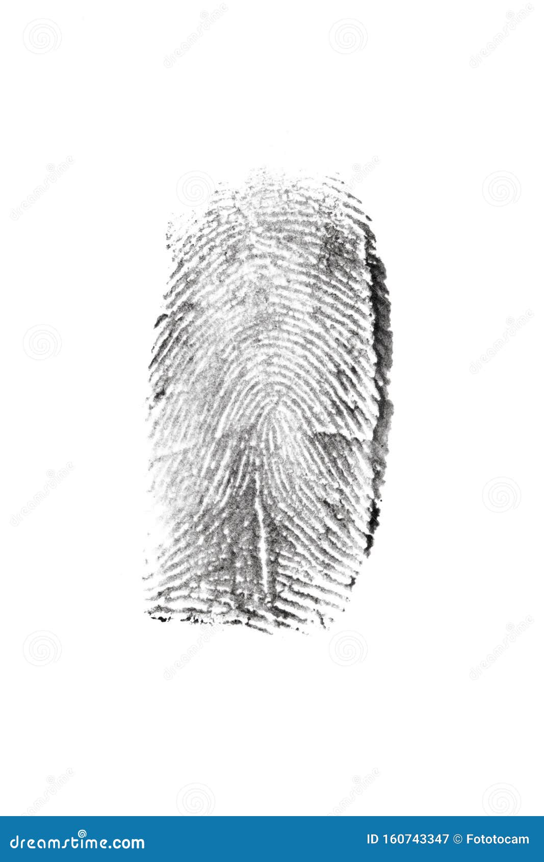Fingerprint Pattern Isolated on White - Image Stock Illustration ...