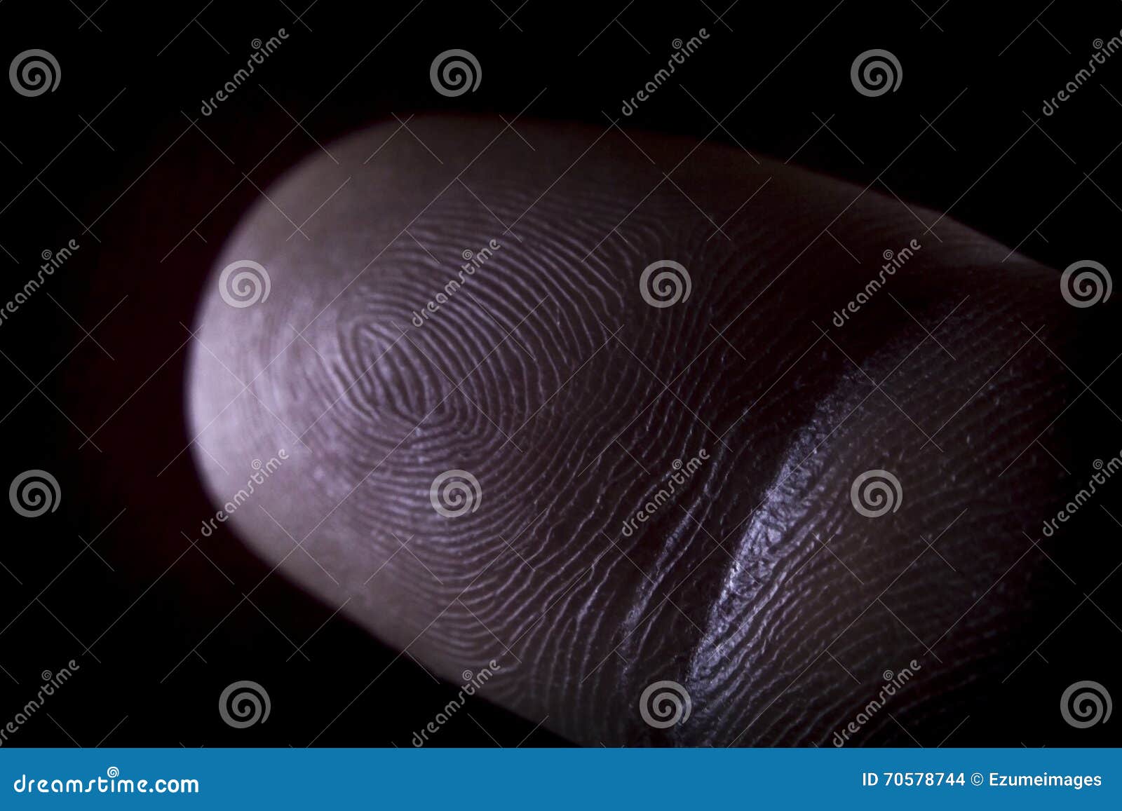 Fingerprint Pointer Finger stock photo. Image of science - 70578744