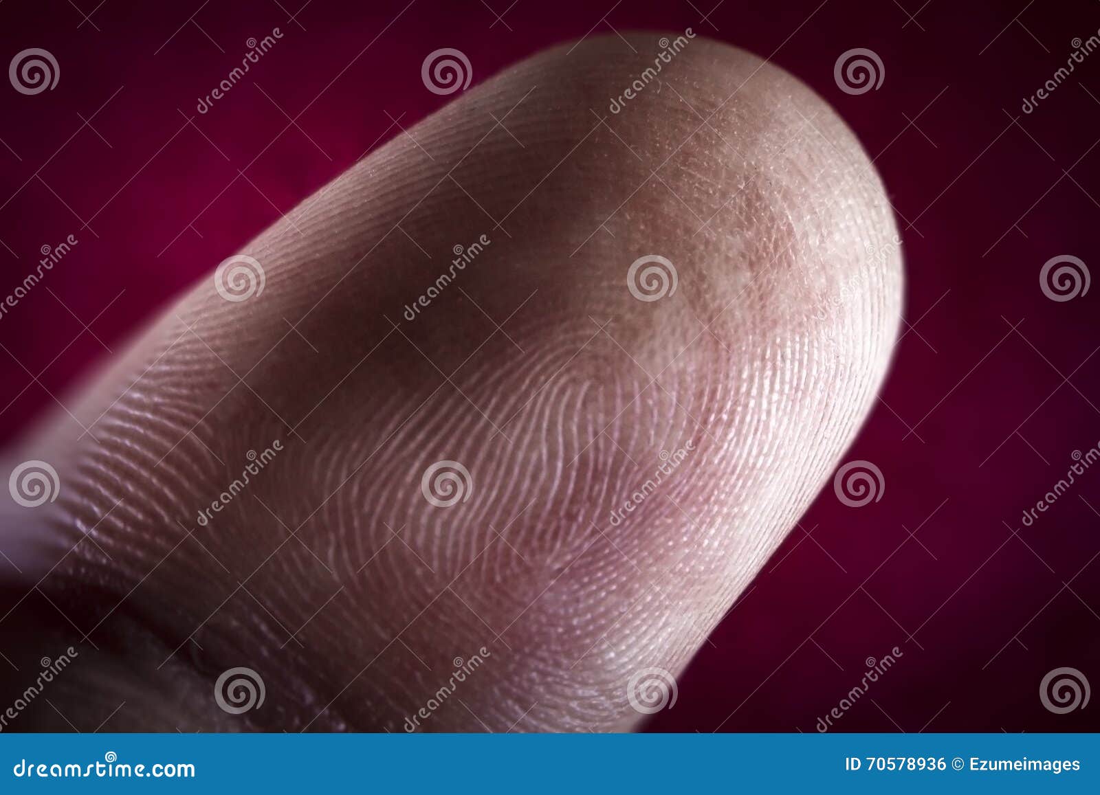 Fingerprint Pointer Finger stock photo. Image of focus - 70578936