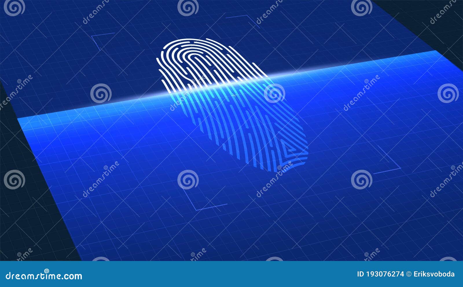Fingerprint Scan. Biometric Security Access Identification. Digital ...